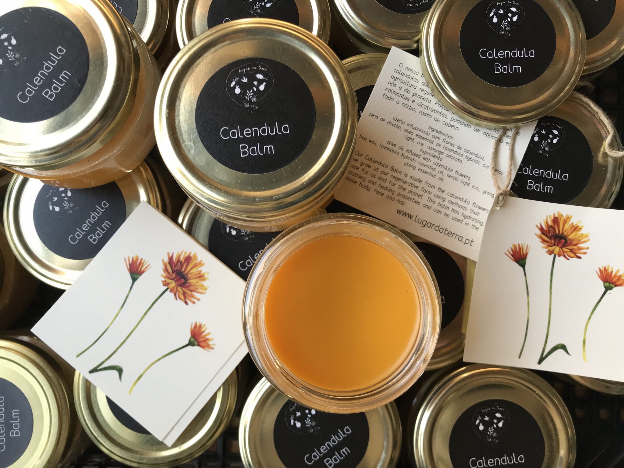 Bálsamo de Calendula / Calendula Balm - Lugar da Terra - Agricultura ...